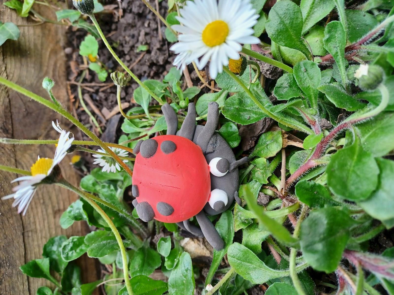 Make a model ladybird - Visit Herts