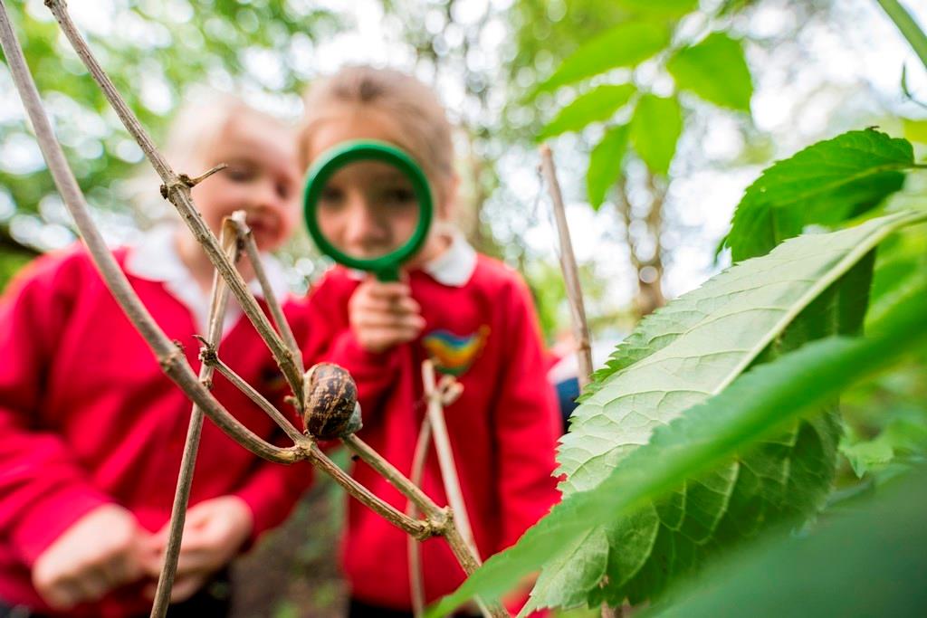Rye Meads Adventure Tour - Visit Herts