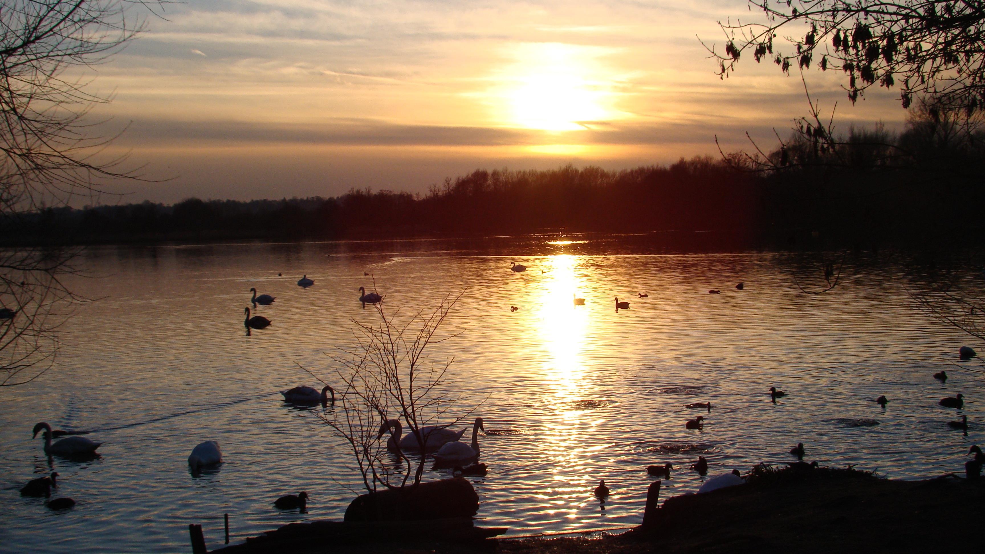 Rickmansworth Aquadrome Local Nature Reserve - Visit Herts