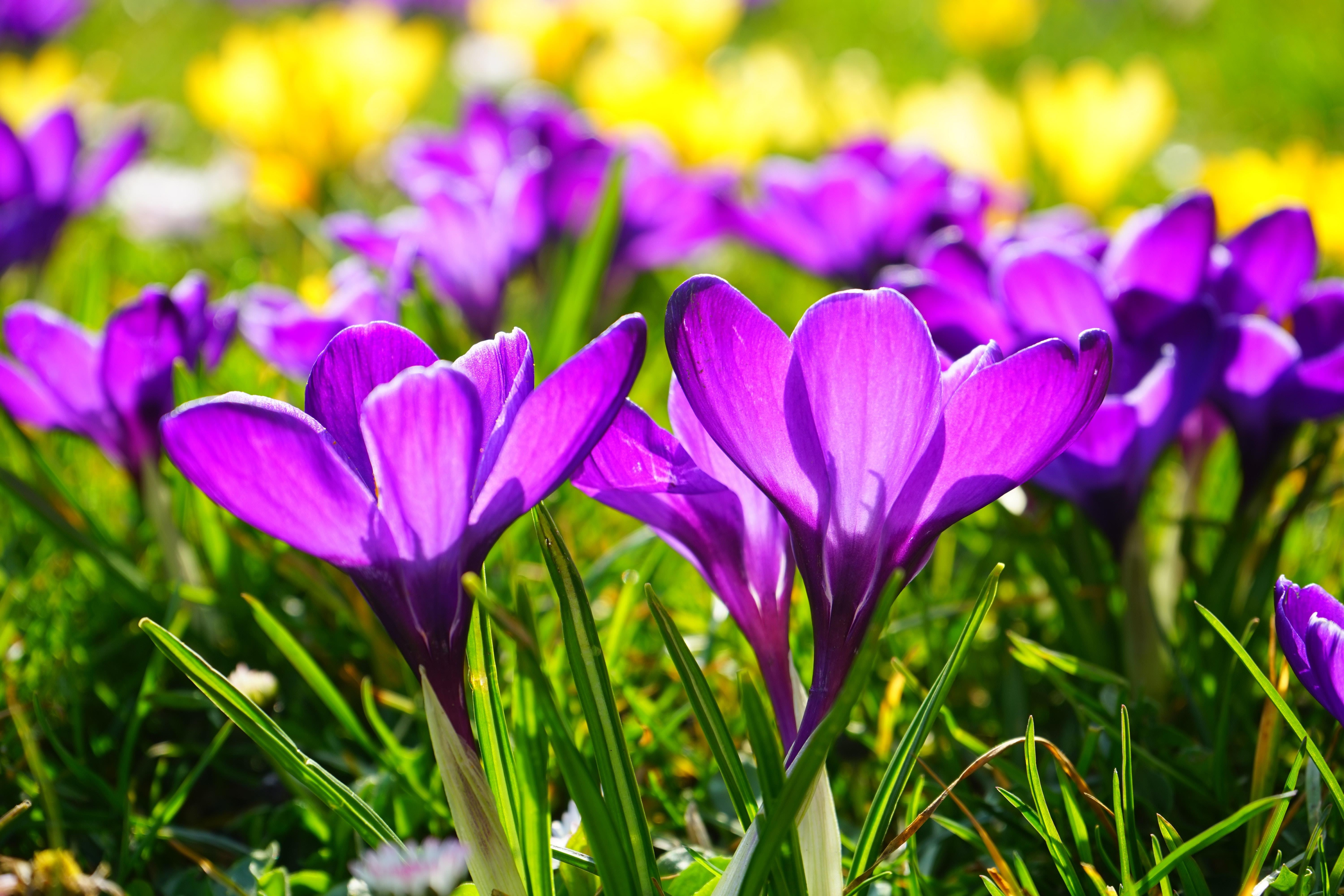 Herts most Instagrammable spring spots - Visit Herts