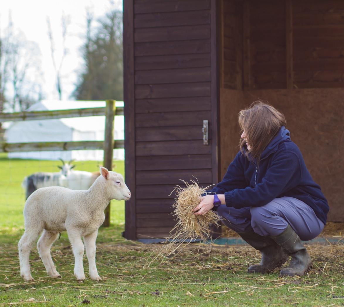 Animal Experiences in Herts - Visit Herts