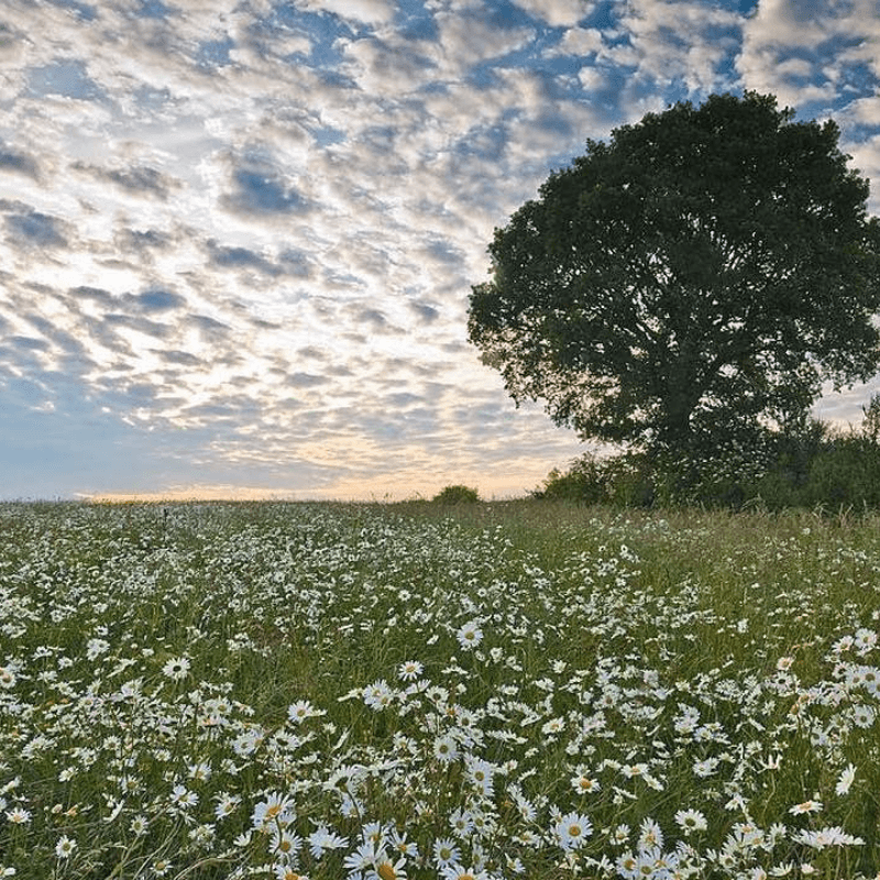 Running in Hertfordshire - Visit Herts