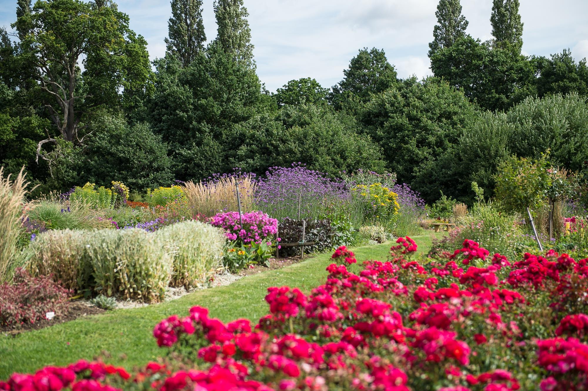 Aylett Nurseries - Visit Herts