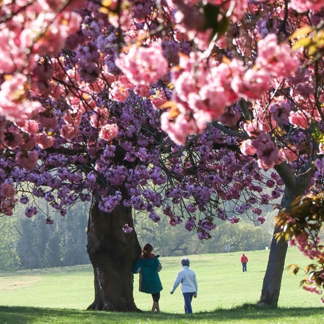 Spring equinox - Visit Herts