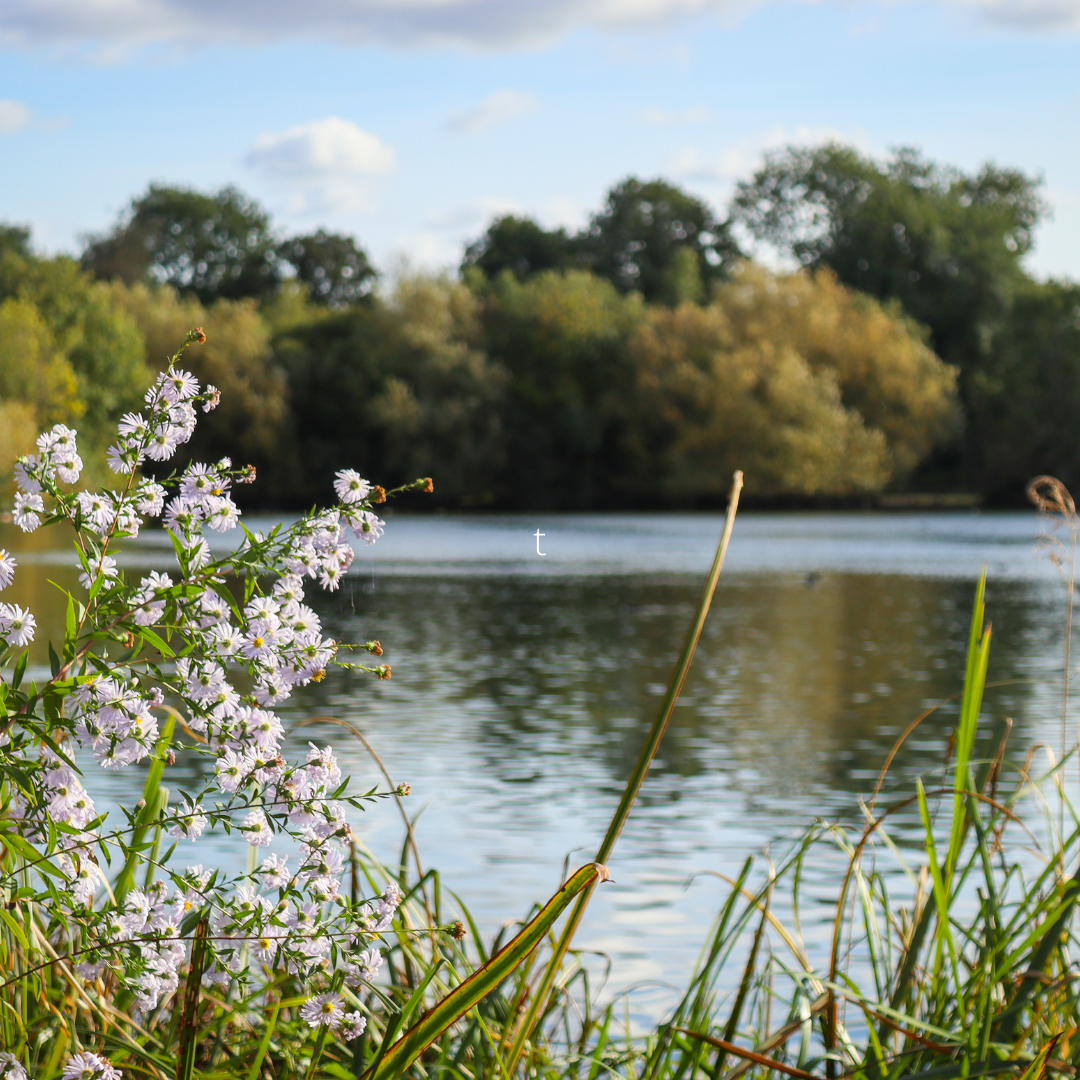 Free Things to do in the Herts Big Weekend 2023 - Visit Herts