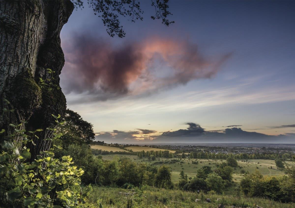 Tring Park - Visit Herts