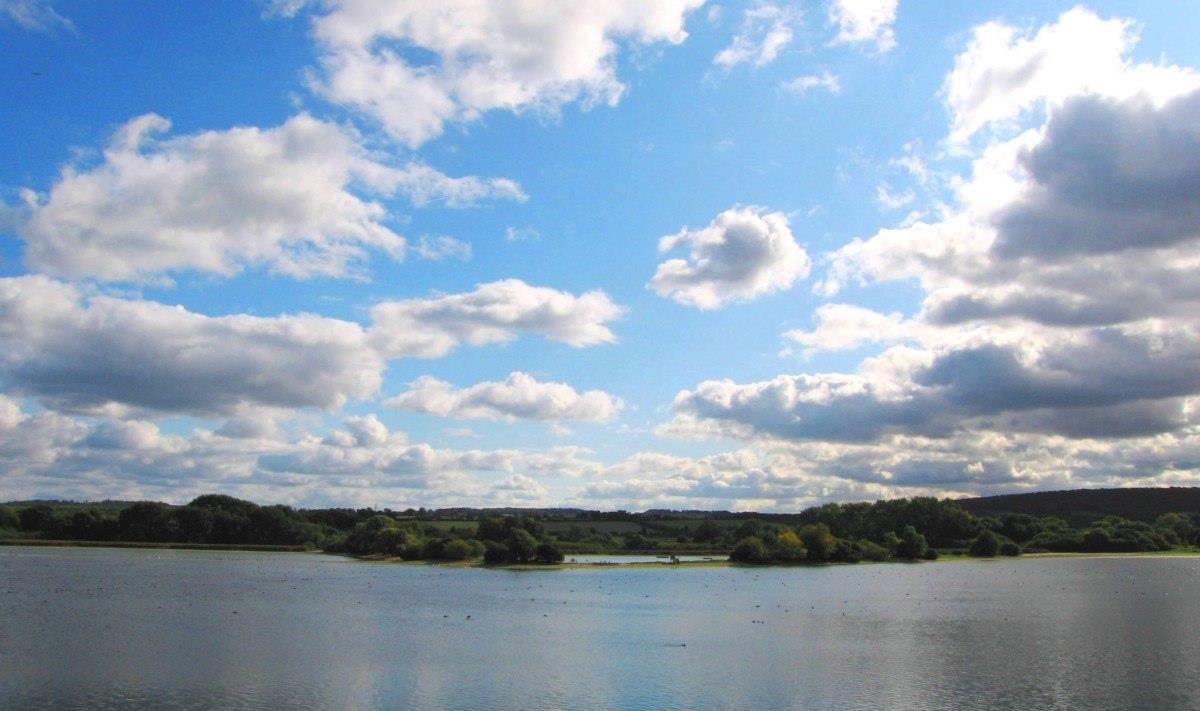 Tring Reservoirs Nature Reserve (Herts and Middlesex Wildlife Trust ...