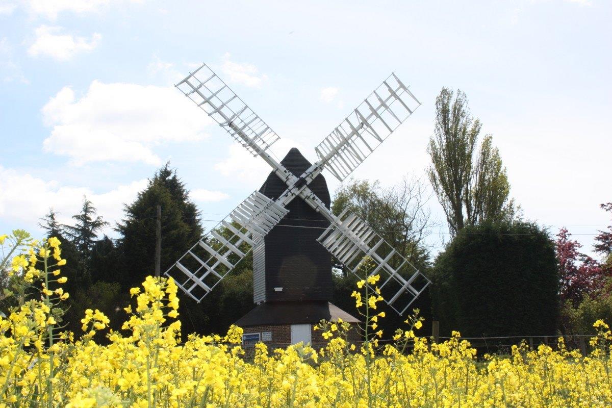 Cromer Windmill - Visit Herts