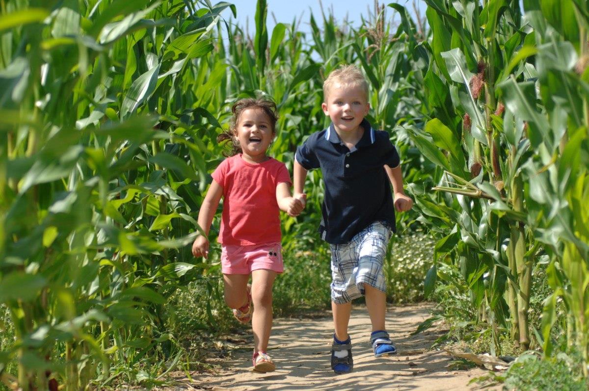 Willows Activity Farm - Visit Herts